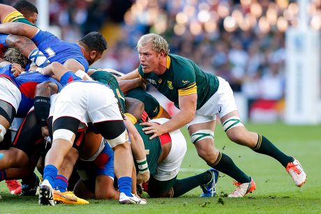 South Africa Flanker Schalk Burger Action Editorial Stock Photo - Stock ...