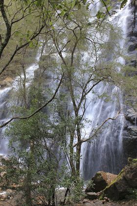 Bluff Falls Burrowapine National Park Victoria Editorial Stock Photo ...