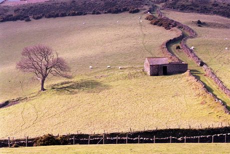 Exmoor Farm Land North Devon Britain Editorial Stock Photo - Stock ...