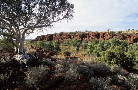 4 Migum Stock Pictures, Editorial Images and Stock Photos | Shutterstock