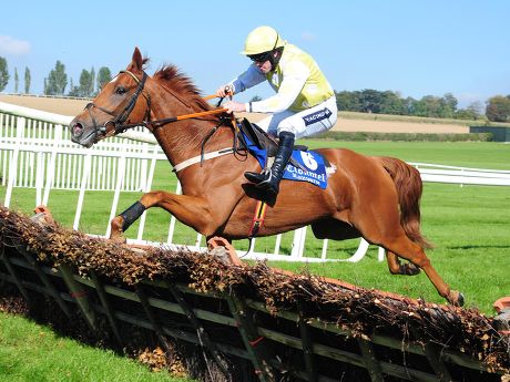 Horse Racing - 1 Oct 2015 Stock Pictures, Editorial Images and Stock ...