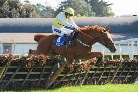 Horse Racing - 1 Oct 2015 Stock Pictures, Editorial Images and Stock ...
