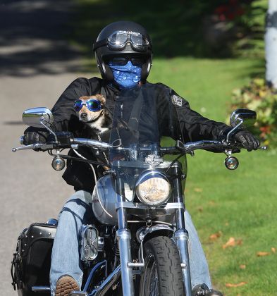Motorcycle-riding dog Harley, Inverness, Scotland, Britain - 29 Sep ...