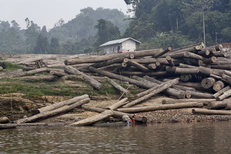 2 Disforestation Stock Pictures, Editorial Images and Stock Photos ...