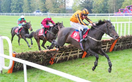Horse Racing - 3 Oct 2015 Stock Pictures, Editorial Images and Stock ...
