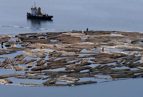 Logging Factory On Shore Lake Kelowna Editorial Stock Photo - Stock ...