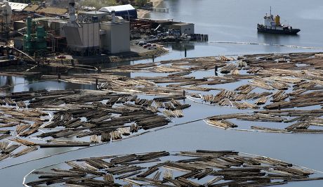 Logging Factory On Shore Lake Kelowna Editorial Stock Photo - Stock ...