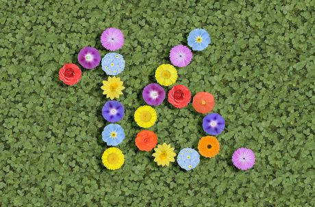 250 Close order formation Stock Pictures, Editorial Images and Stock ...