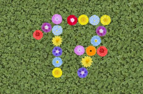 250 Close order formation Stock Pictures, Editorial Images and Stock ...