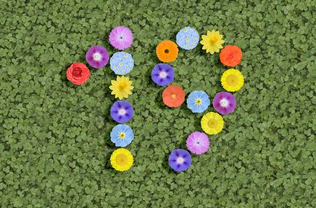 250 Close order formation Stock Pictures, Editorial Images and Stock ...