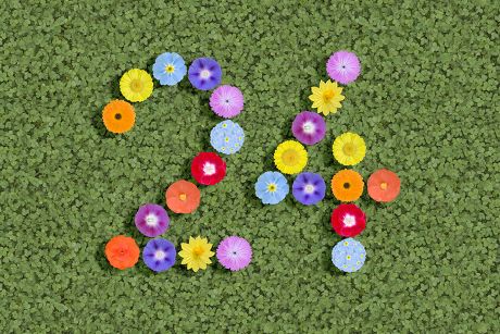 7 Twentyfourth Stock Pictures, Editorial Images and Stock Photos | Shutterstock