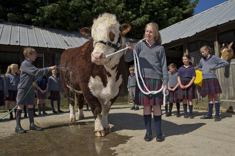 17 Colwall Stock Pictures, Editorial Images and Stock Photos | Shutterstock