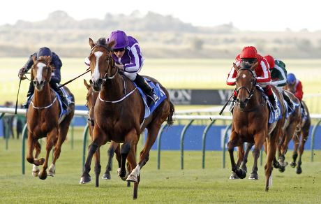 Minding Ryan Moore Beats Nathra Right Editorial Stock Photo - Stock ...