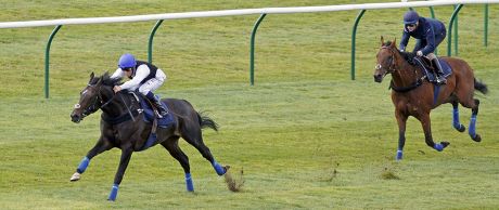 Horse Racing - 9 Oct 2015 Stock Pictures, Editorial Images and Stock ...