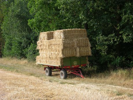42 Hay carts Stock Pictures, Editorial Images and Stock Photos ...