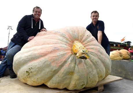 Stuart Ian Paton Their Giant Pumpkin Editorial Stock Photo - Stock ...