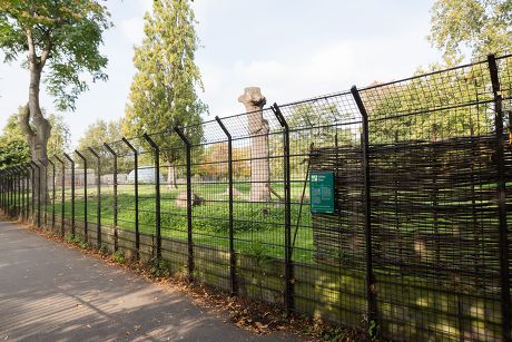 General View Deer Enclosure Clissold Park Editorial Stock Photo - Stock ...