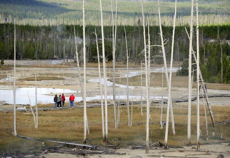 29 Geyser viewing Stock Pictures, Editorial Images and Stock Photos ...