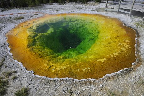 Morning Glory Pool Geyser Upper Geyser Editorial Stock Photo - Stock ...