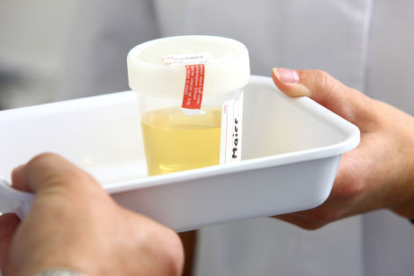 Doctors Surgery Collection Urine Sample Laboratory Editorial Stock ...