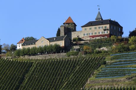 Schloss Eberstein Castle Gernsbach Northern Black Editorial Stock Photo - Stock Image | Shutterstock