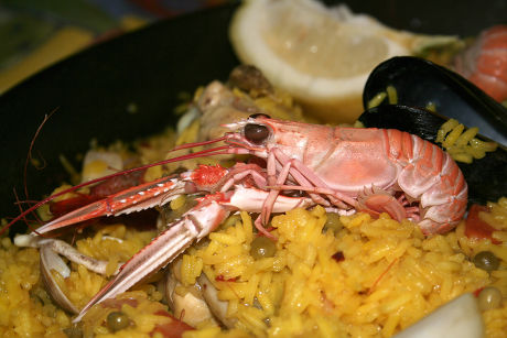 29 Lobster shells Stock Pictures, Editorial Images and Stock Photos ...
