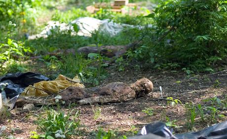 'BODY FARM' AT THE UNIVERSITY OF TENNESSEE FORENSIC ANTHROPOLOGY CENTRE ...