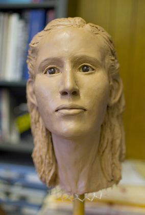 University Tennesses Forensic Anthropology Center Aka Editorial Stock ...