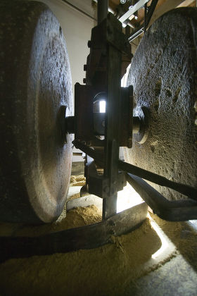 Oberkirch Deu 31082005 Oil Mill Walz Editorial Stock Photo - Stock ...