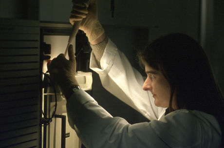 Laboratory Criminal Investigation Department Cid Dna Editorial Stock ...