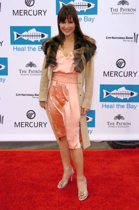 Shea Curry Editorial Stock Photo - Stock Image | Shutterstock