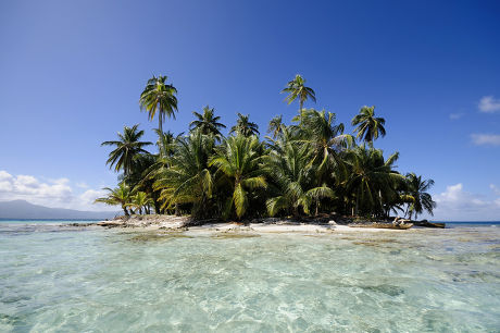 Uninhabited Island Palm Trees North Isla Editorial Stock Photo - Stock ...