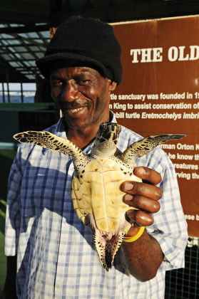 Man Holding Turtle Old Hegg Turtle Editorial Stock Photo - Stock Image ...