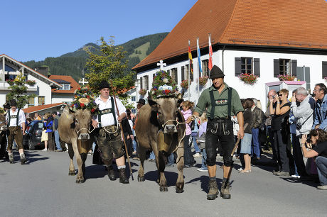83 Alpine folklore Stock Pictures, Editorial Images and Stock Photos ...