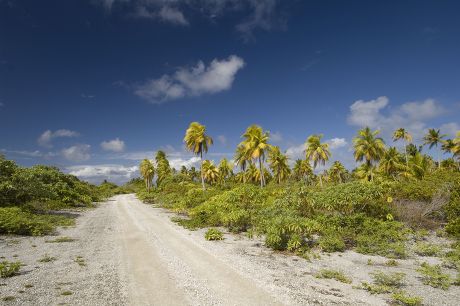 19 Pacific pathway Stock Pictures, Editorial Images and Stock Photos ...