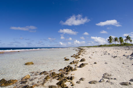 Beach Fakarava Havaikiteararo Havaii Farea Atoll Editorial Stock Photo ...