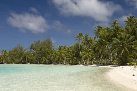 Beach Fakarava Havaikiteararo Havaii Farea Atoll Editorial Stock Photo ...