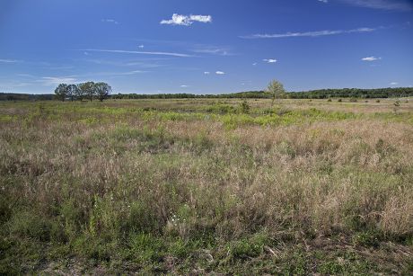 Fernald Preserve Nature Preserve On Site Editorial Stock Photo - Stock ...
