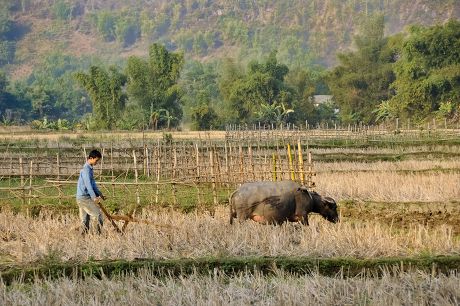 16 Pull plow Stock Pictures, Editorial Images and Stock Photos ...