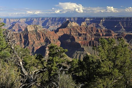 Evening Bright Angel Point Grand Canyon Editorial Stock Photo - Stock ...