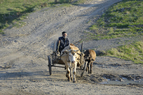 94 Oxen carts Stock Pictures, Editorial Images and Stock Photos ...