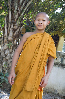 7 Bald headed boy Stock Pictures, Editorial Images and Stock Photos ...