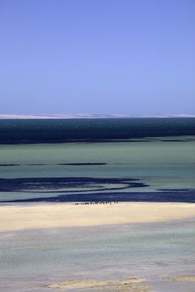 Indian Ocean Coastline Denham North Western Editorial Stock Photo ...