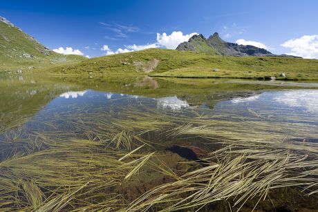 Evening Lake Berglimatt Canton Glarus Switzerland Editorial Stock Photo ...