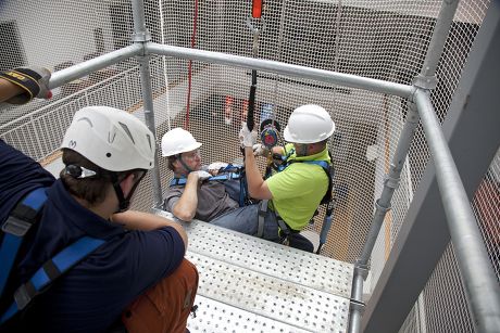 48 Harness practice Stock Pictures, Editorial Images and Stock Photos ...