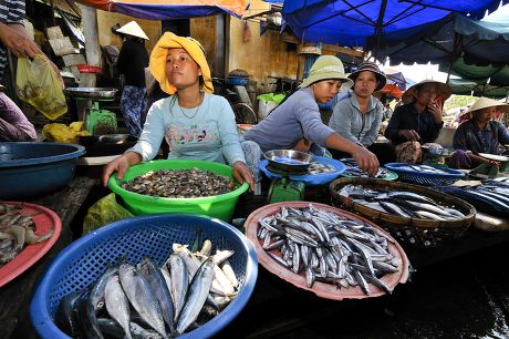 Fishmarket Hoi Vietnam Southeast Asia Editorial Stock Photo - Stock ...