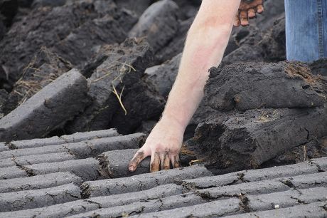 54 Drying of peat Stock Pictures, Editorial Images and Stock Photos ...