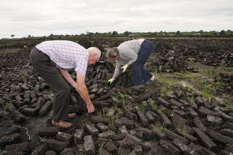 54 Drying of peat Stock Pictures, Editorial Images and Stock Photos ...