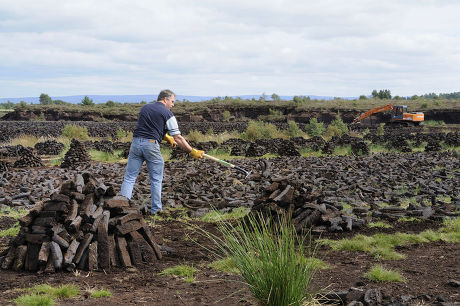 54 Drying of peat Stock Pictures, Editorial Images and Stock Photos ...