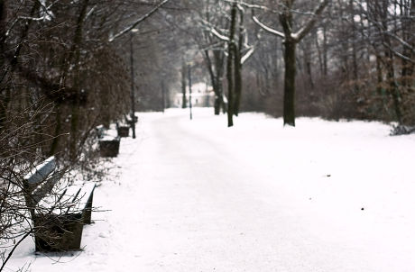 2,000 Snowy path Stock Pictures, Editorial Images and Stock Photos ...